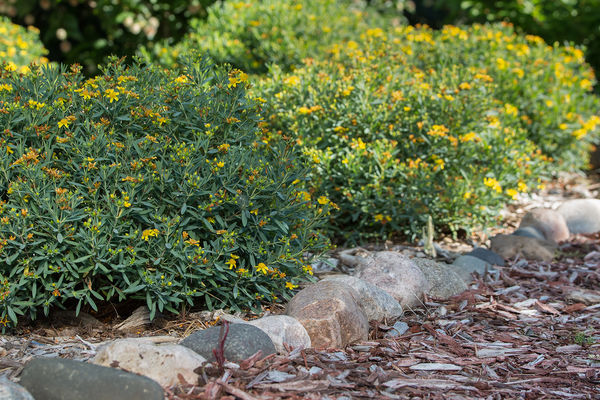 Product Detail - Bailey Portal