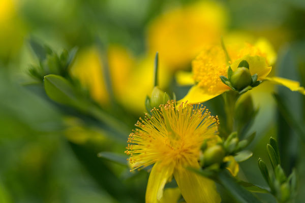 Product Detail - Bailey Portal