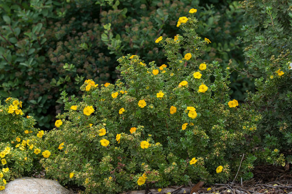 Product Detail - Bailey Portal